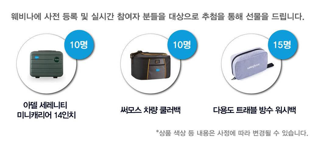 세일즈포스 웨비나 국내 Saas 기업의 글로벌 진출 성공으로 이끄는 전략은